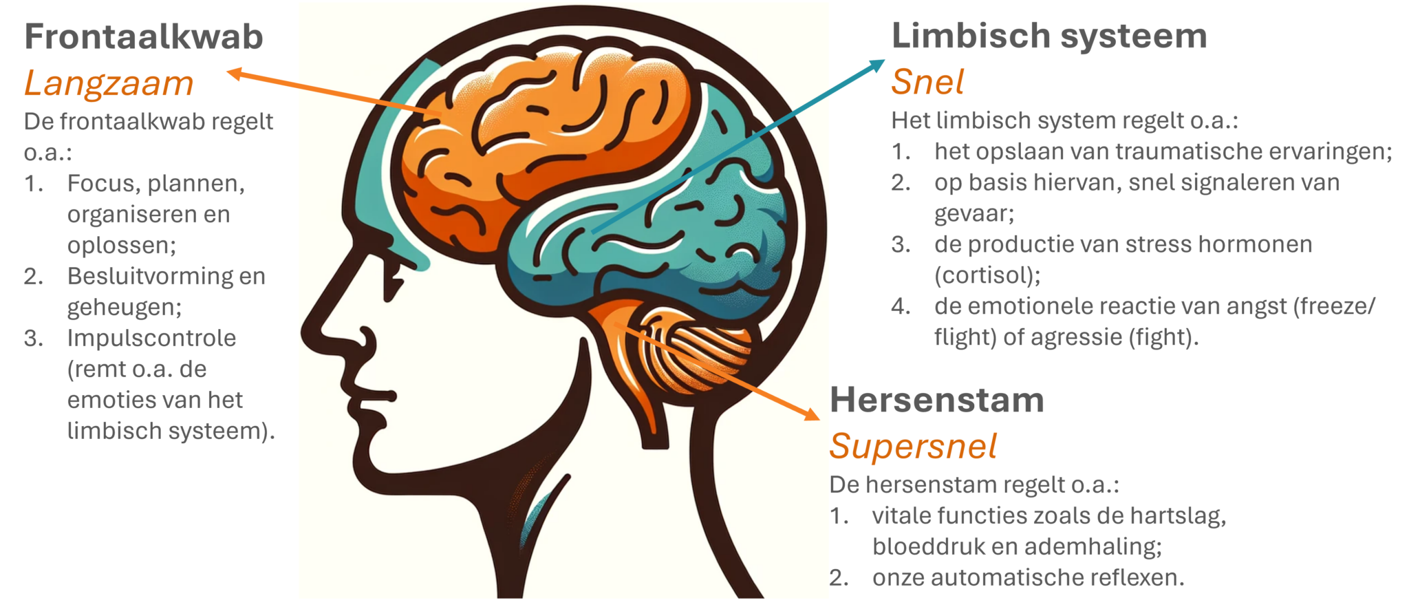 De relatiecyclus richting een bewuste relatie - Samenuiteen